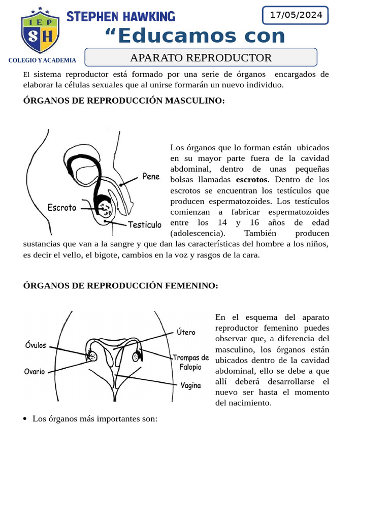 Aparato Reproductor | PDF | Sistema reproductivo | Anatomia sexual