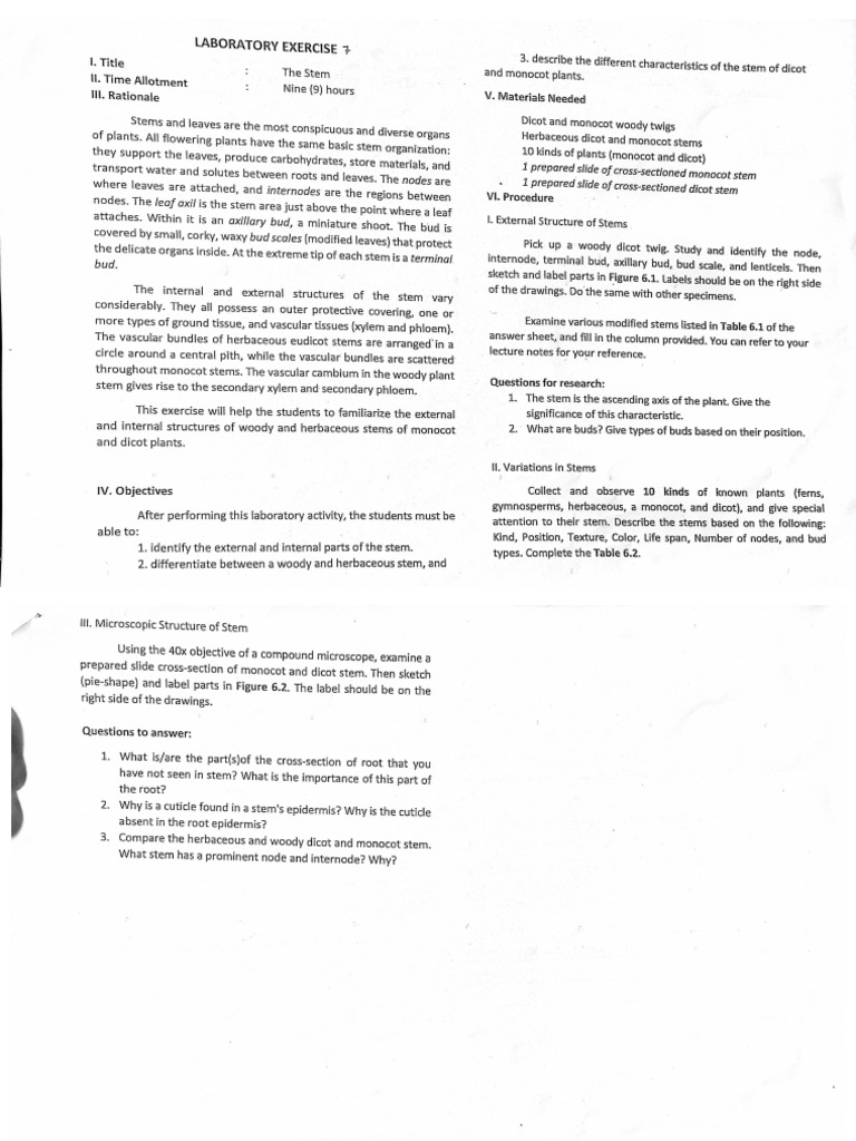 Botany Lab Exercise 7 | PDF