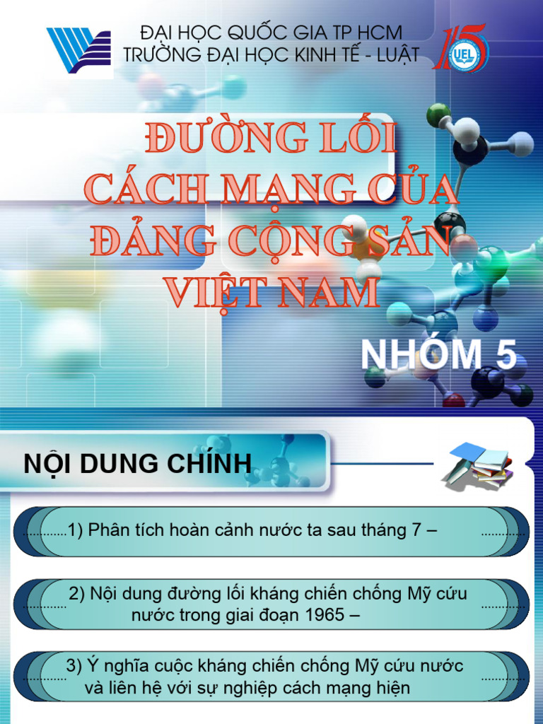 Đường lối CM của DCSVN | PDF