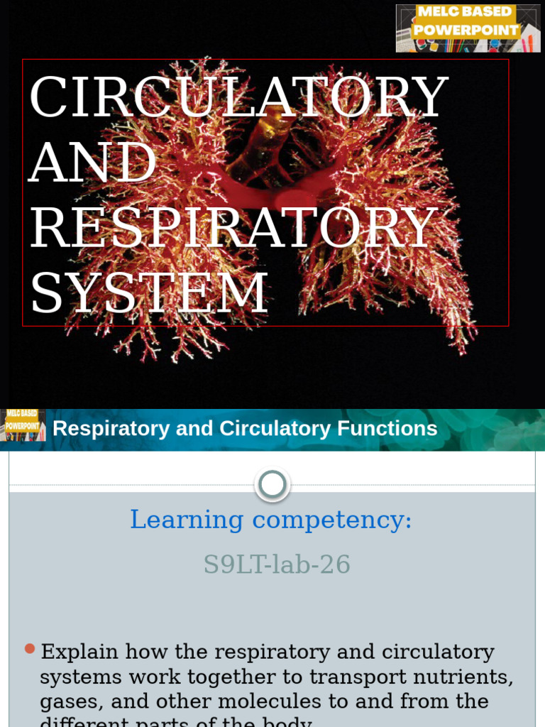 G9 Science Q1 - Week 1-2 Respiratory-Circulatory-System | PDF ...