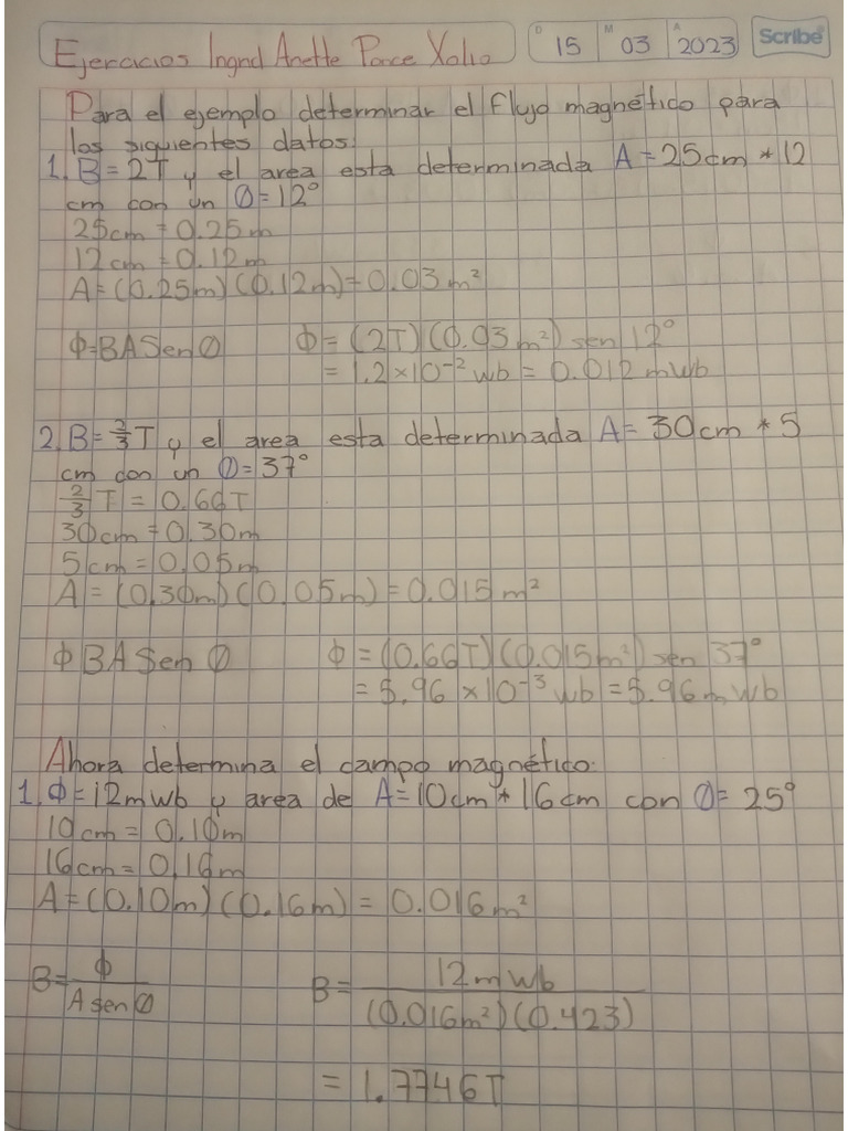 Act I Bloque II Campo Magnético | PDF