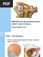 Mnemonic For Eye | PDF