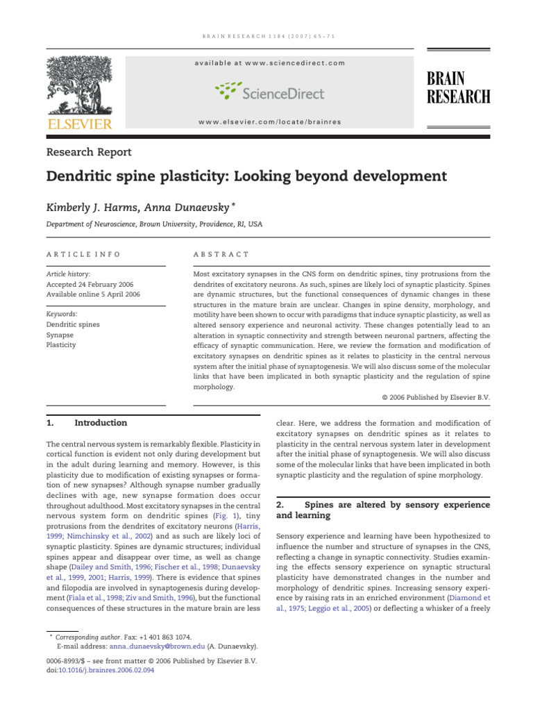 Dendritic Spine Plasticity - Looking Beyond Development | PDF ...