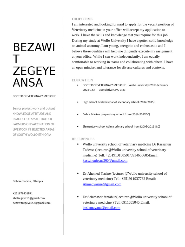 Bezawit Cv (1) | PDF | Medicine