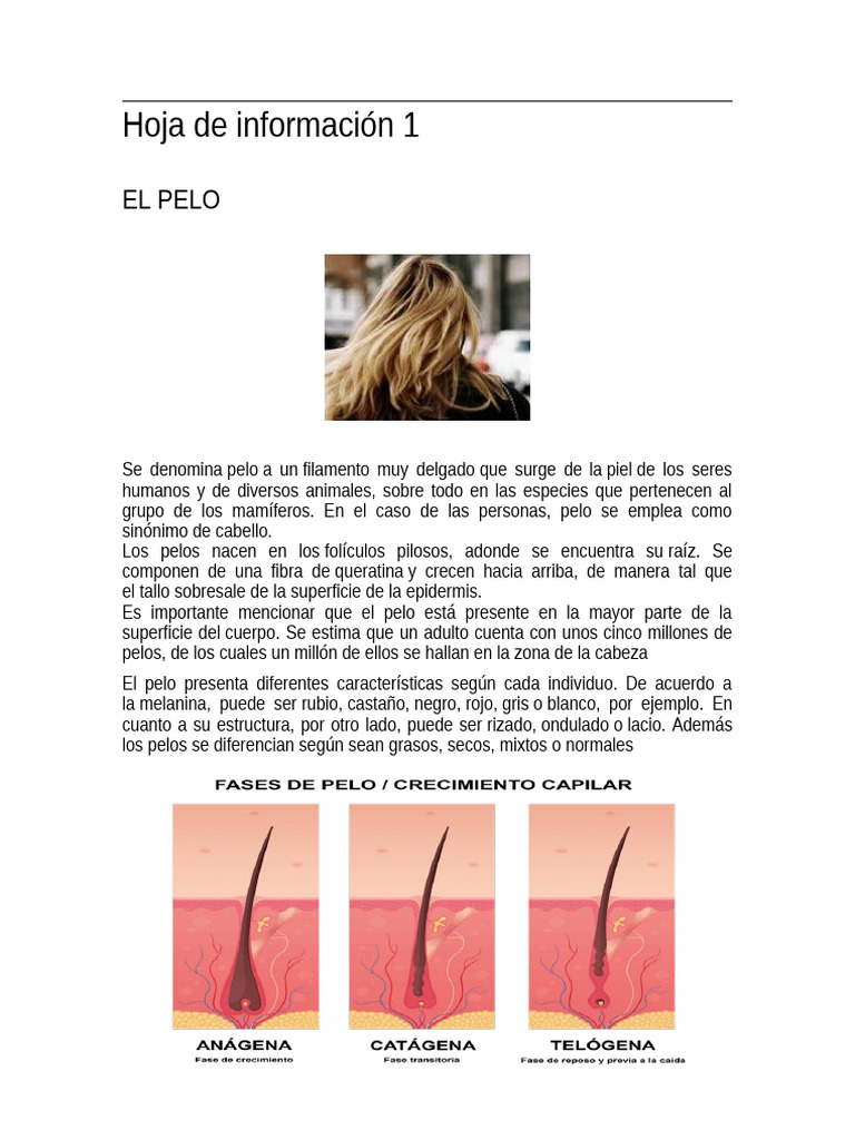 Separata Corte 2024 | PDF | Pelo