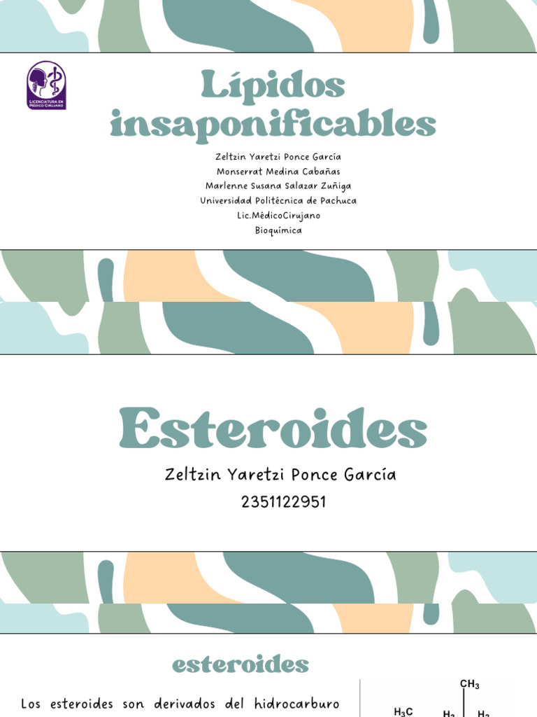 Lípidos 20240325 115952 0000 | PDF | Prostaglandina | Droga anti-inflamatoria libre de esteroides