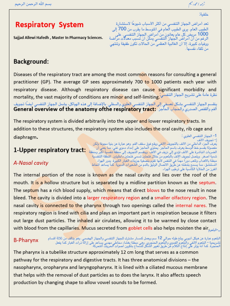Respiratory System: Background | PDF