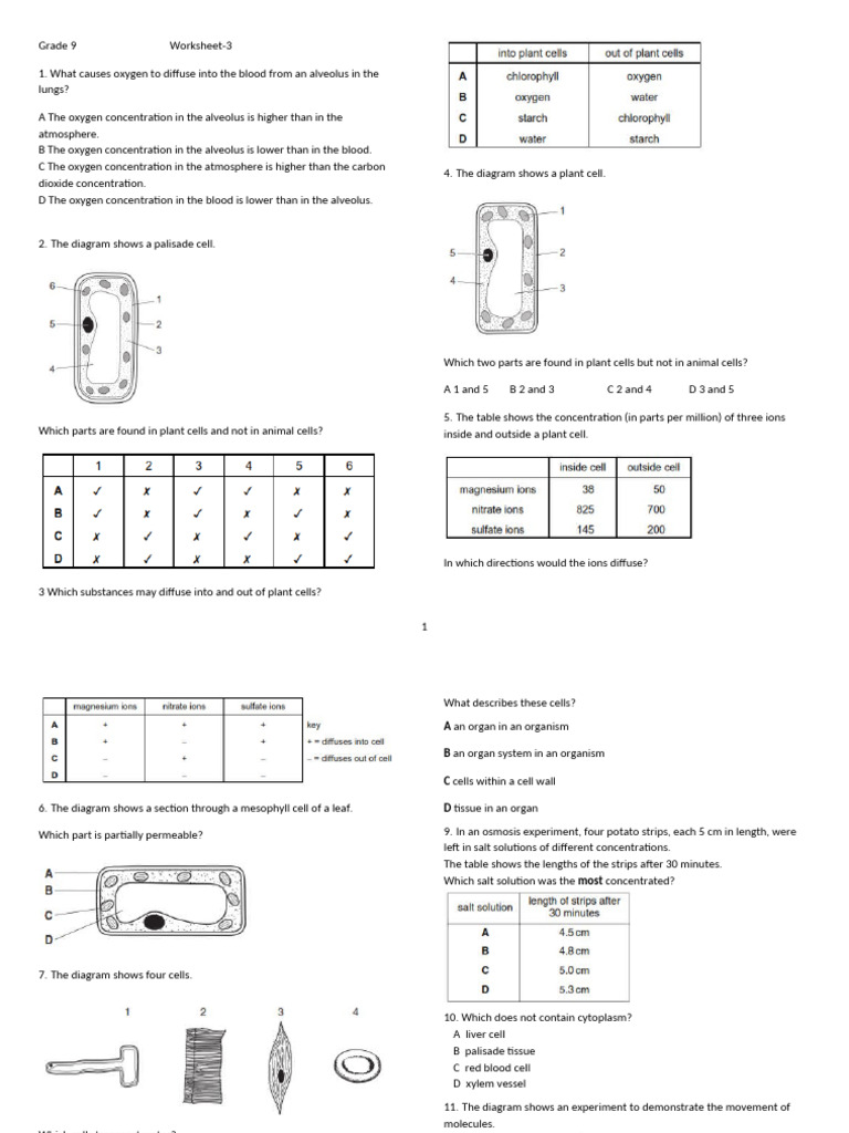 Igcse biology unit 3 worksheet | PDF | Osmosis | Cell (Biology)