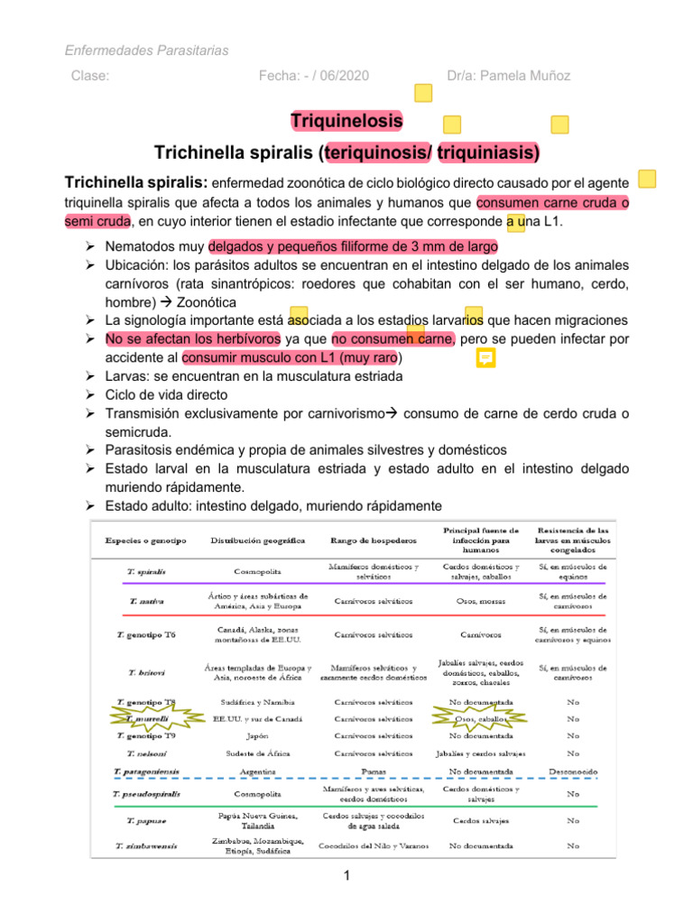 Triquinelosis: Causas y Síntomas | PDF | Especialidades Medicas