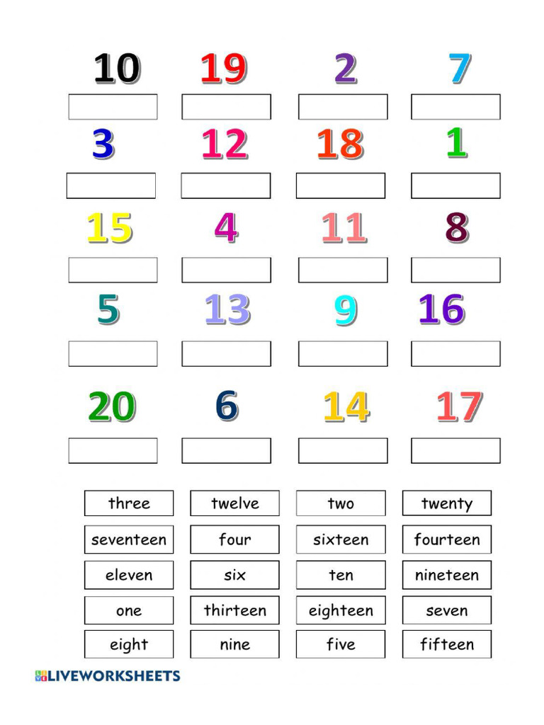 Number Practice | PDF