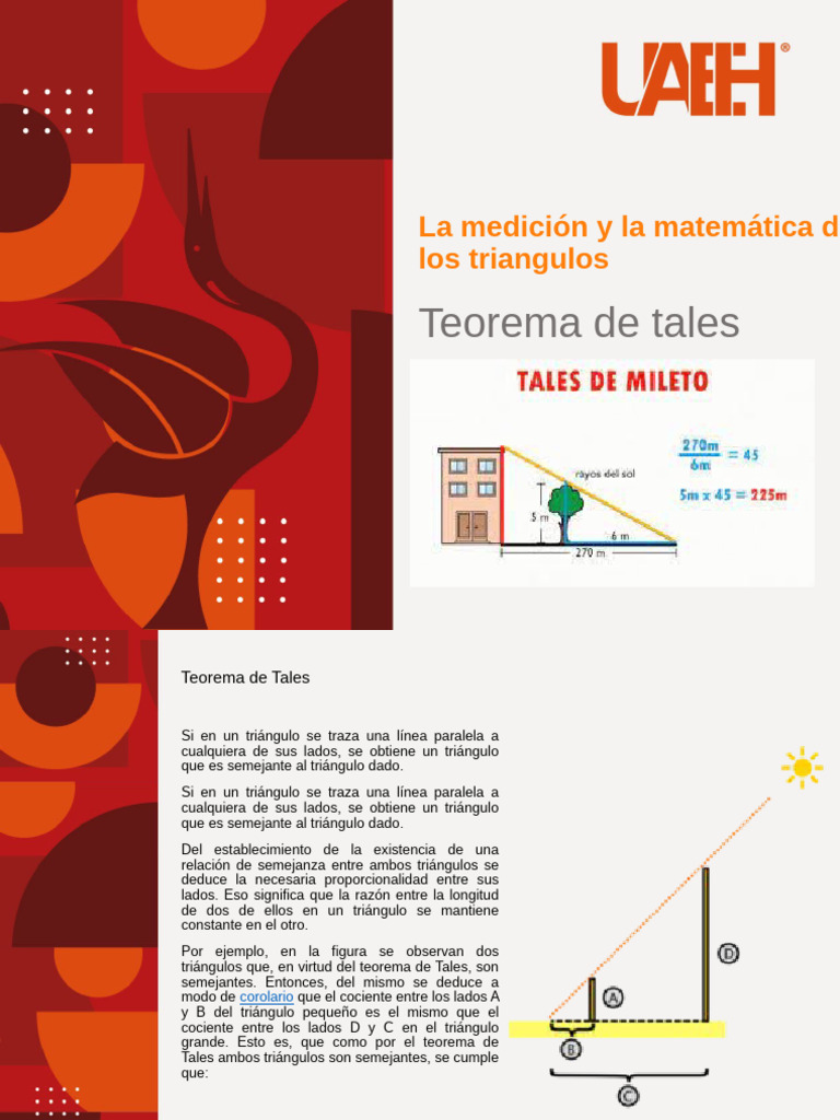 Teorema de Tales | PDF