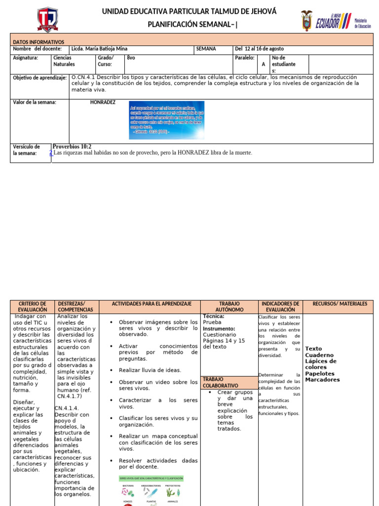 PLANIFICACION de 8VO CCNN | PDF | Aprendizaje | Cognición