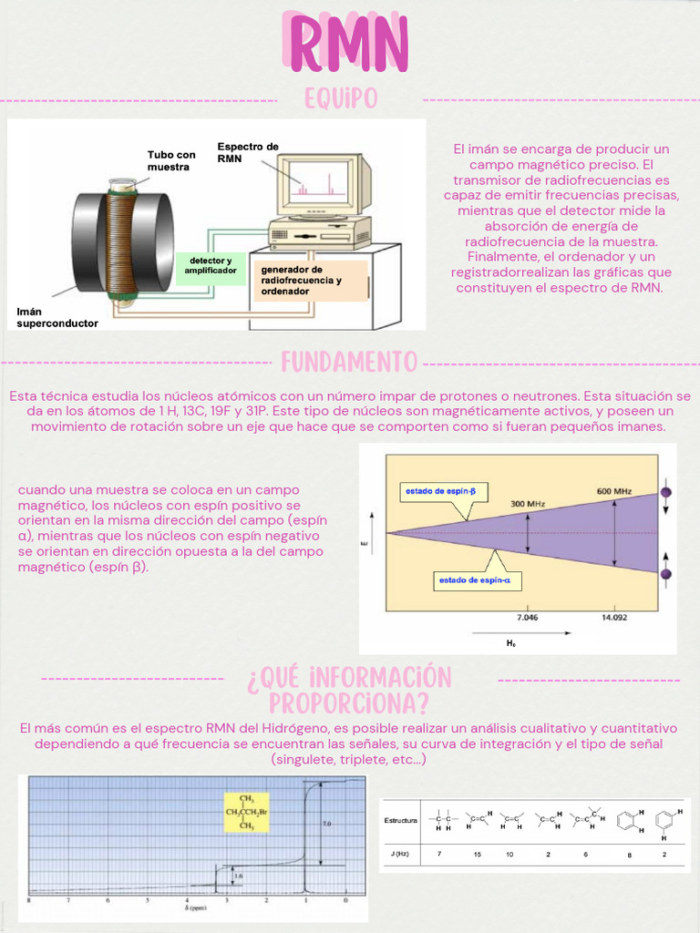 Infografía RMN | PDF