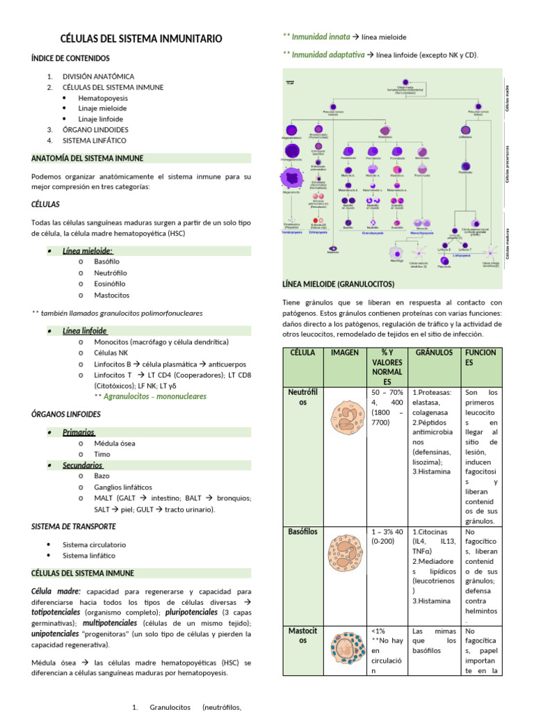 TEMA 2. Células del sistema inmunitario | PDF | Sistema inmune | Leucocito