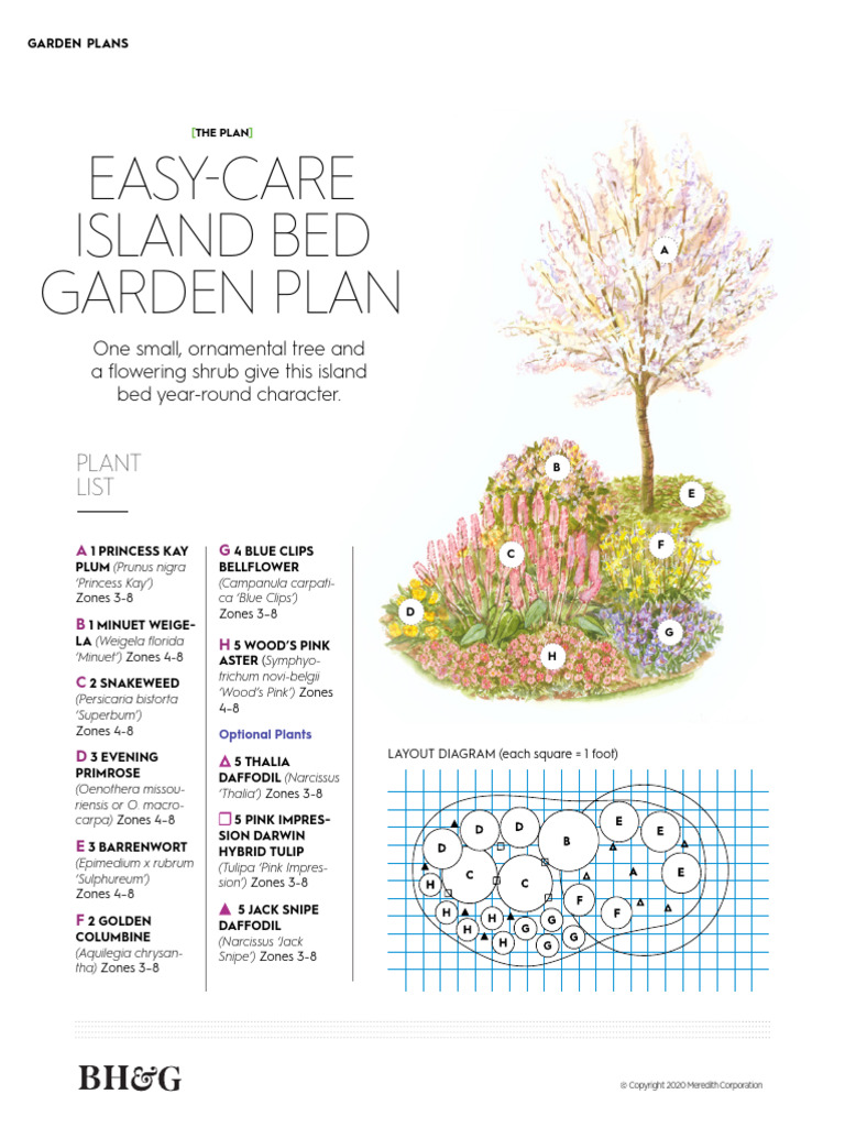 BHG Easy Care Island Bed Garden Plan | PDF | Mulch | Botany