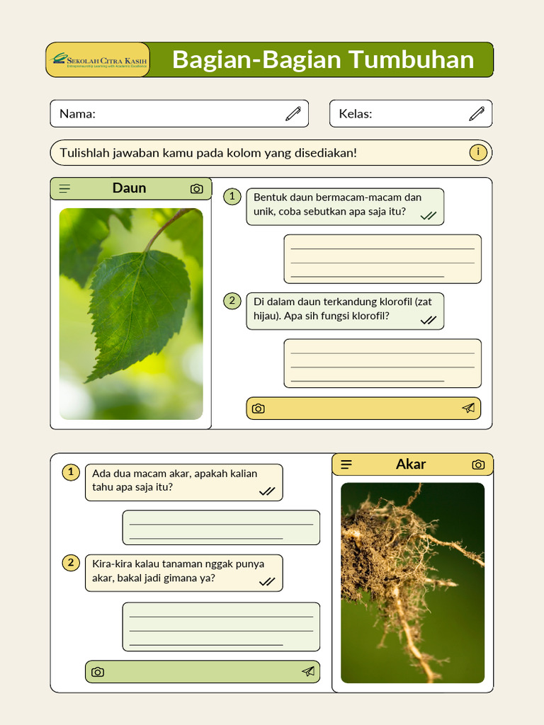 Bagian-Bagian Tumbuhan | PDF | Griya & Taman | Sains & Matematika