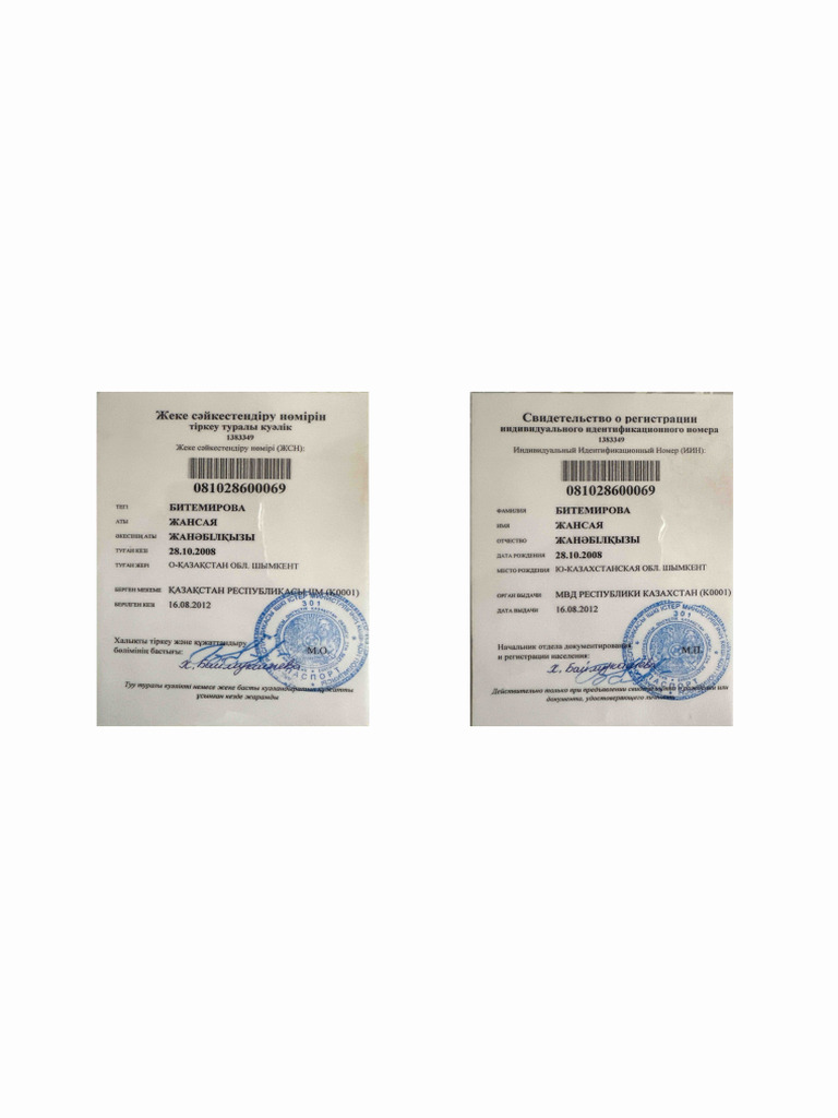 ID Card 11 Aug 2024 | PDF