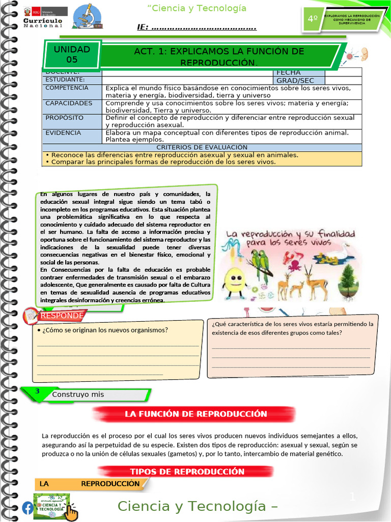 A-4º ACT 1-CYT-UND 5 | PDF | Sexo | Reproducción