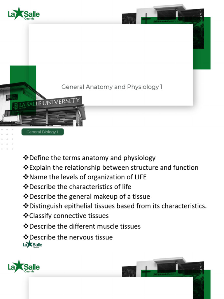 MODULE 1. Introduction To HUman Body Structure and Function | PDF ...