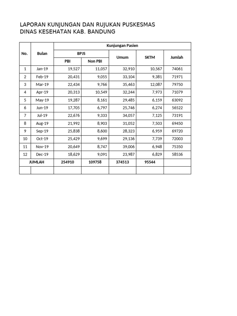 Rekap Laporan Kunjungan Dan Rujukan 2019 | PDF