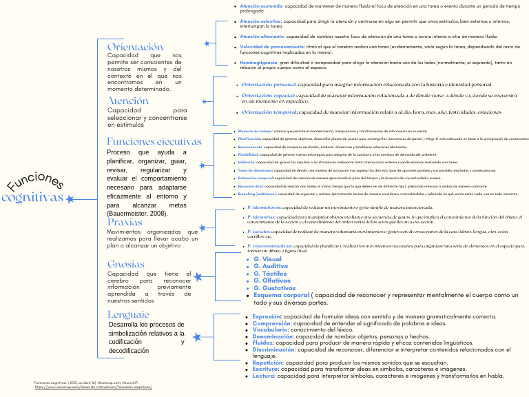Cuadro Sinóptico Funciones Cognitivas | PDF | Atención | Planificación