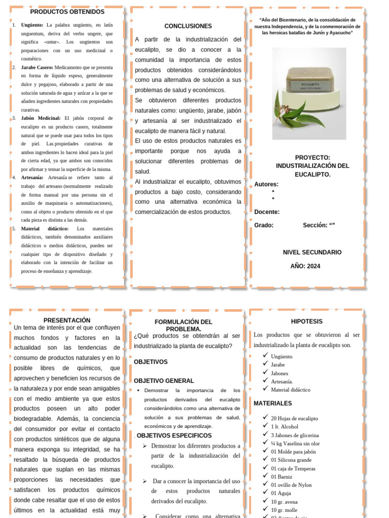 Triptico | PDF | Jabón