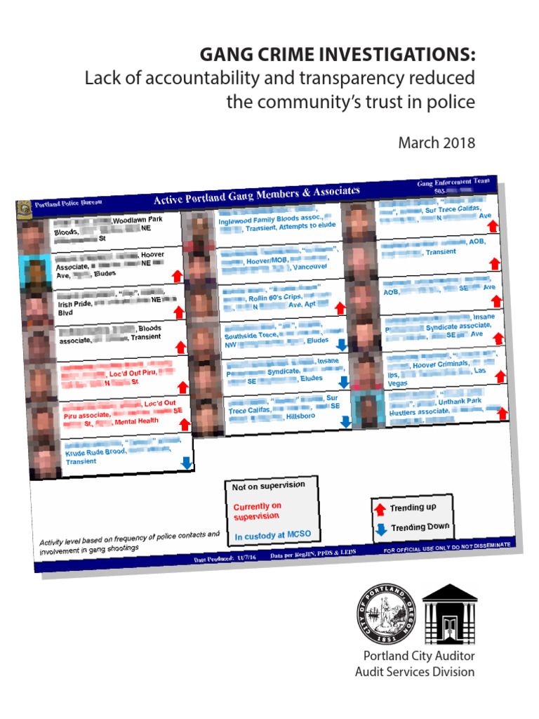 Gang Criminal Investigation Report pdf | PDF | Police | Gang
