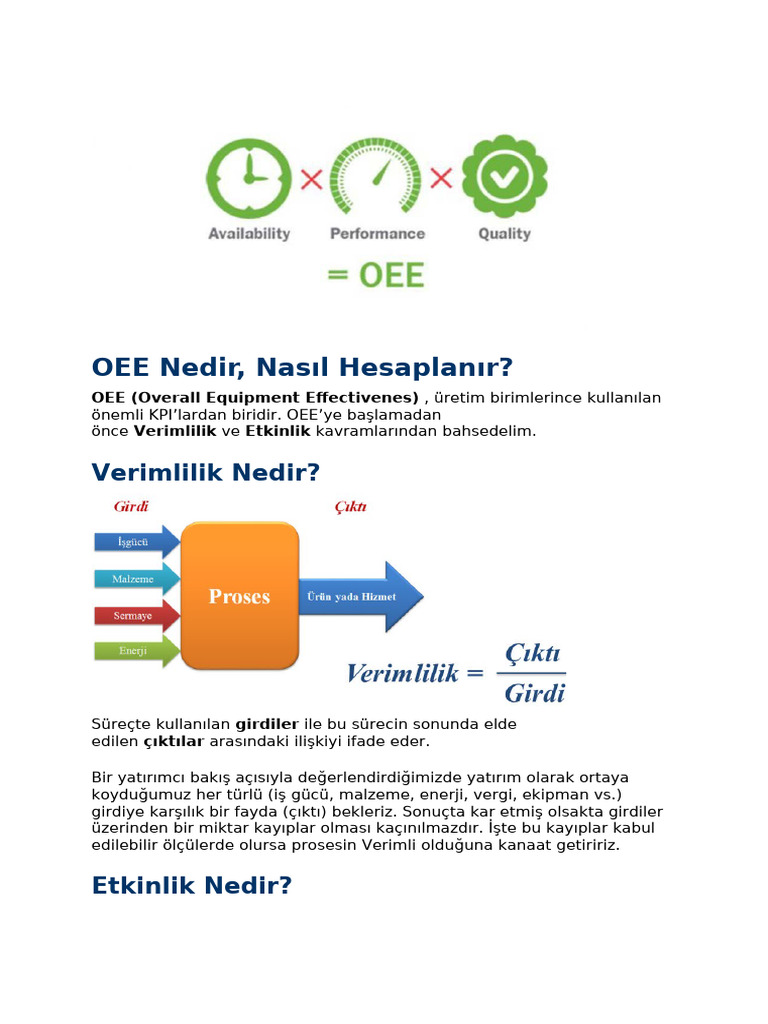 OEE and OAE | PDF