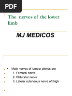 Anatomy of Abdominal Viscera Overview | PDF | Peritoneum | Stomach