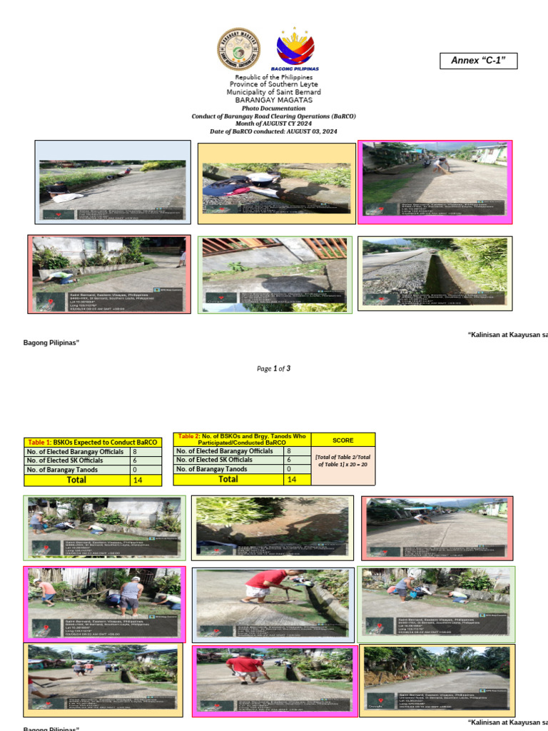 Barangay Magatas Road Clearing Report | PDF