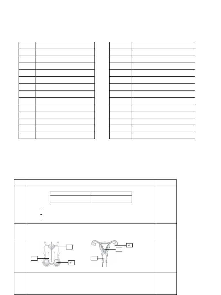 PSLE 2023 Foundation Science Answer Key | PDF | Soil | Water