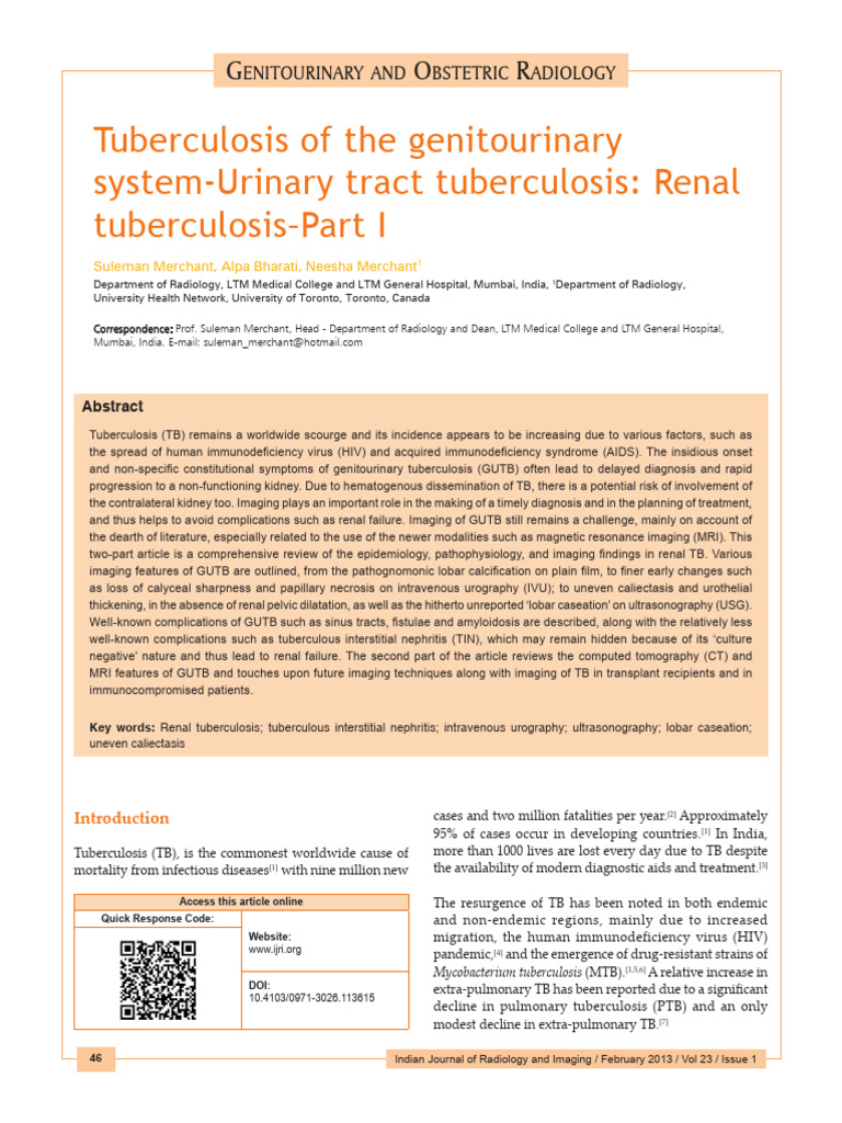 Renal TB | PDF | Tuberculosis | Kidney