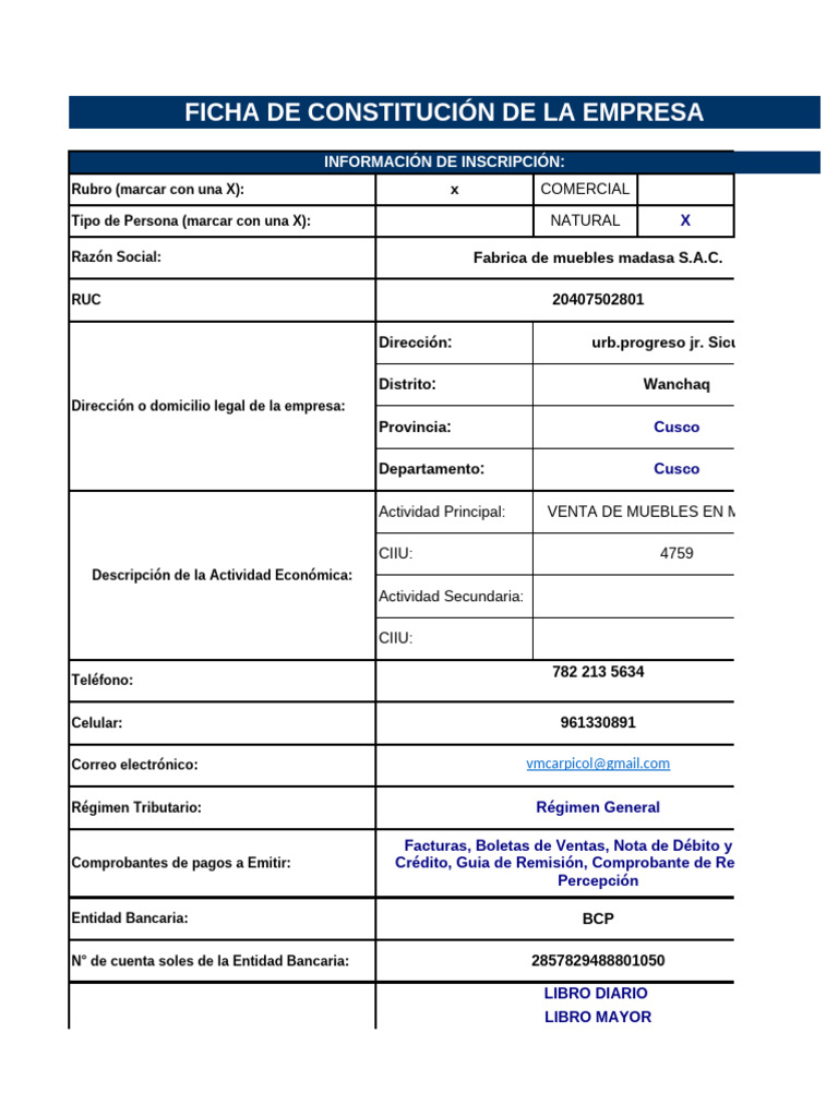 Evidencia Del Proyecto | PDF | Mueble | Business
