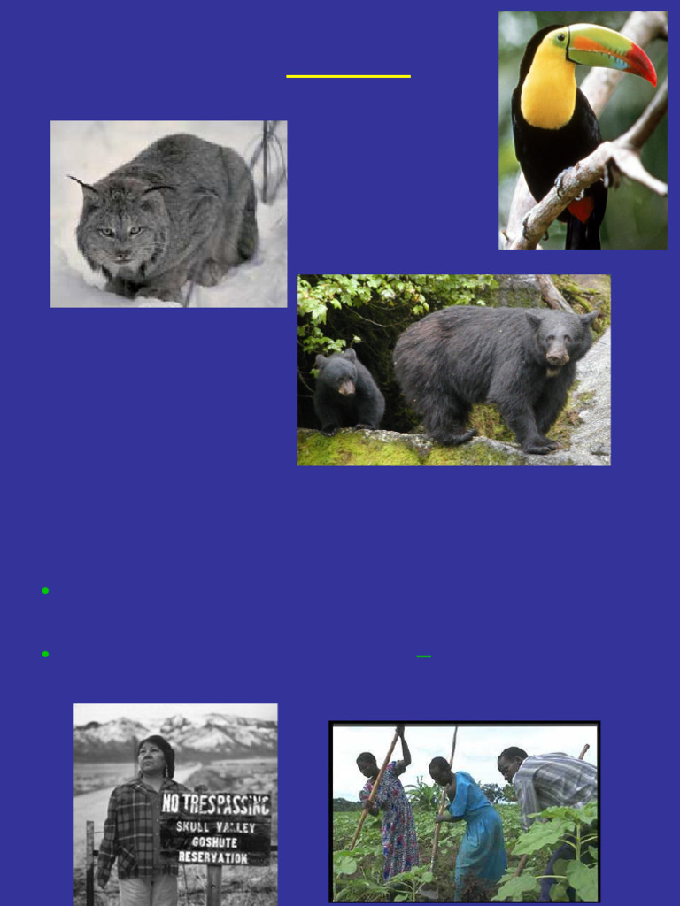 Environmental Science Ecology Part 1 Pdf Forests Sustainability