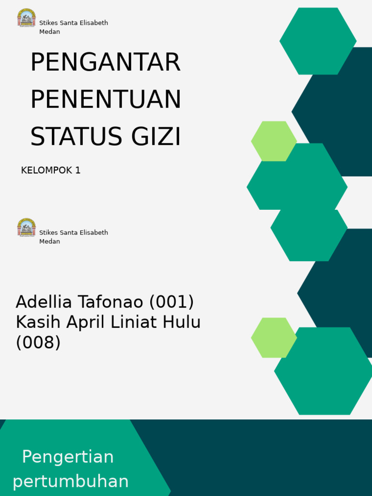 PPT KEL 1 | PDF