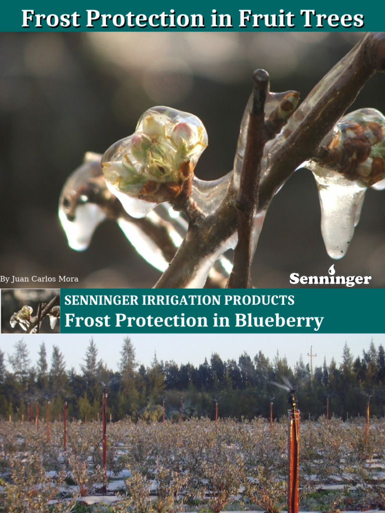 New Technologies in Frost Protection With Senninger Irrigation English ...