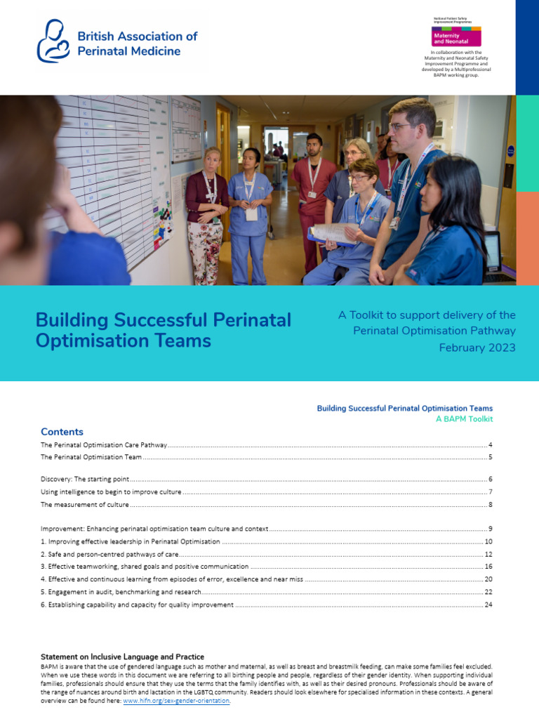 Successful Perinatal Optimisation Teams Toolkit Feb23 | PDF ...