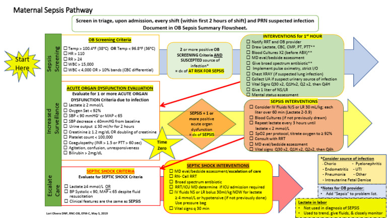 Maternal Sepsis Pathway 2019 | PDF | Sepsis | Health Sciences