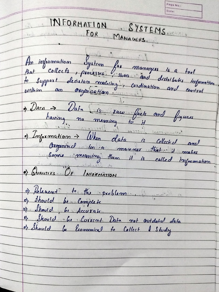 Information System For Managers | PDF