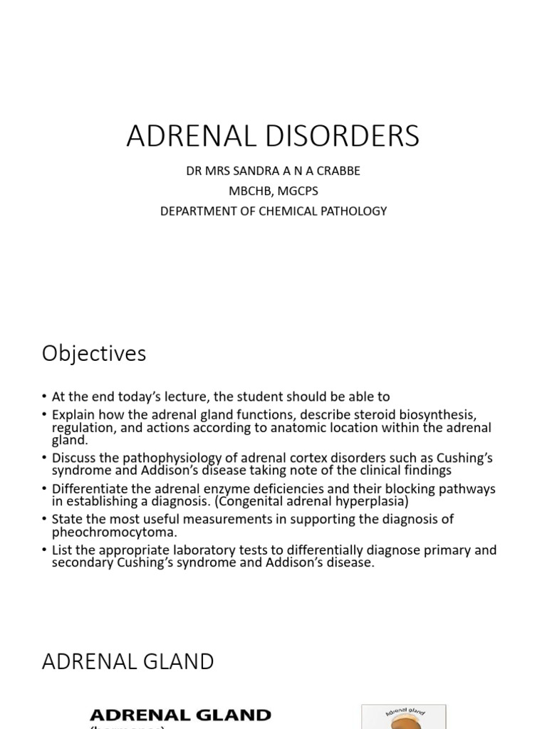 Lecture 3 - Adrenal Disorders | PDF | Adrenal Gland ... Lecture 3 - Adrenal Disorders | PDF | Adrenal Gland ...