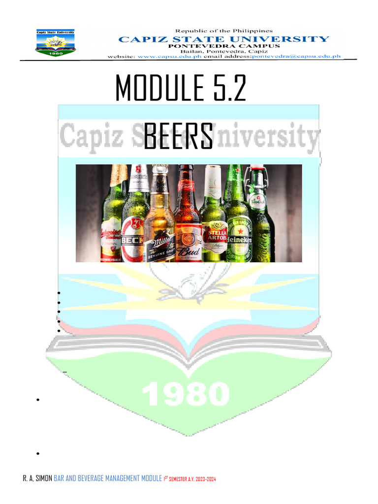 Beer Production and Types Explained | PDF | Beer | Brewing