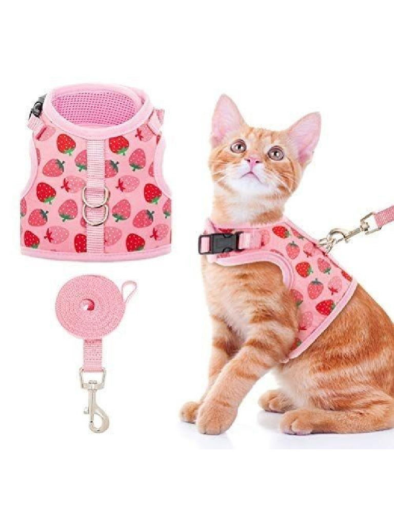 ImageToPDF 14-08-2024 12.46.12 | PDF