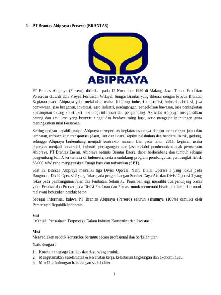 Profile PT. Brantas Abipraya (Persero) | PDF