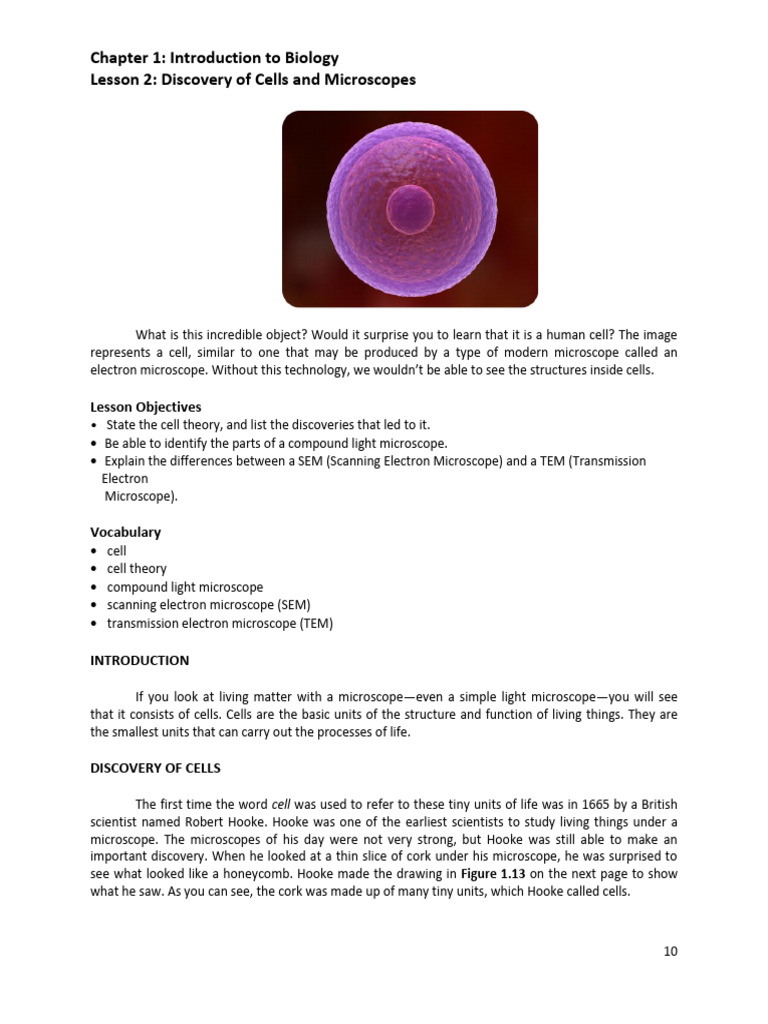 B. Chapter 1 Lesson 2 - Discovery of Cells and Microscopes | PDF | Microscope | Scanning ...