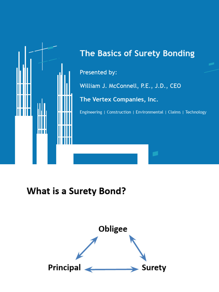 Xv0gYEitSXmOjTfBoSWM3A CM1 W2 Types-of-Project-Bonds | PDF | Surety ...
