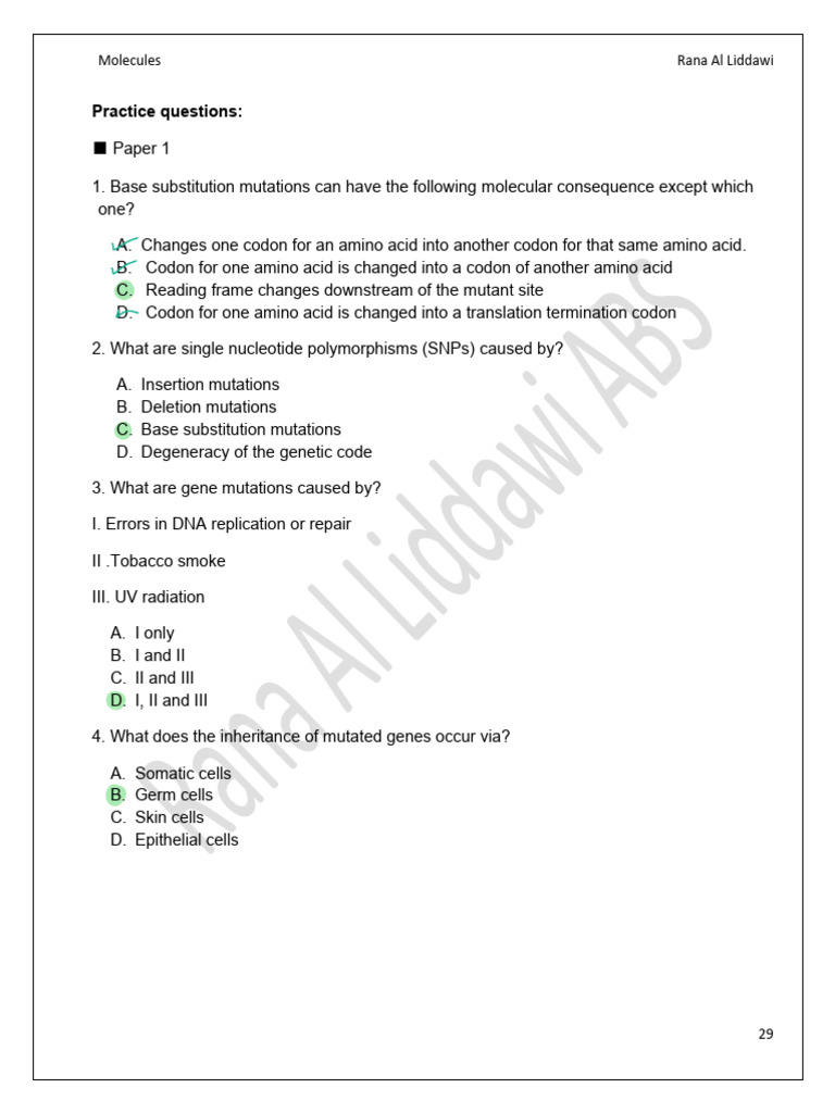 Types of Gene Mutations Explained | PDF | Gene | Mutation