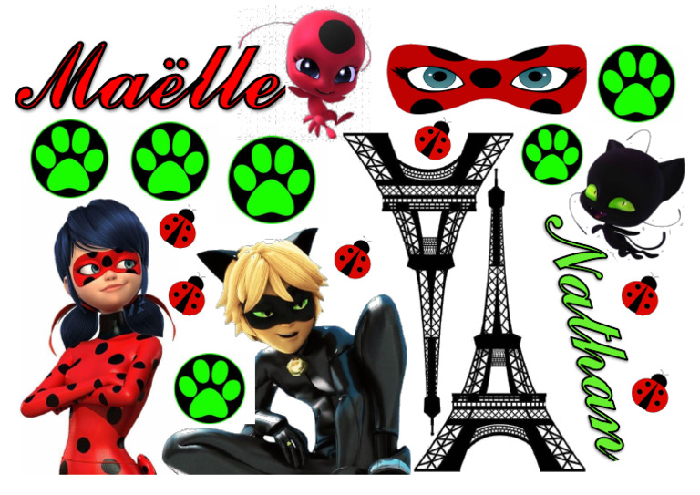 Ladybug 2 | PDF