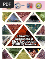 DRRM Act: Key Agencies & Roles | PDF | Emergency Management | Disasters