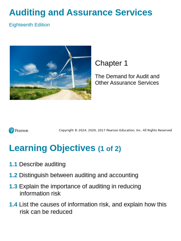 CH 01 PPTaccessible | PDF | Audit | Financial Audit