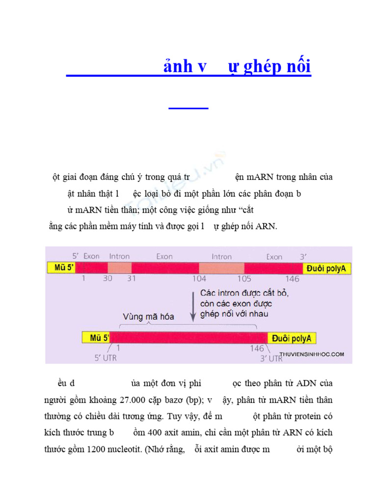Gen Phan Manh Va Su Ghep Noi Arn 1957 | PDF